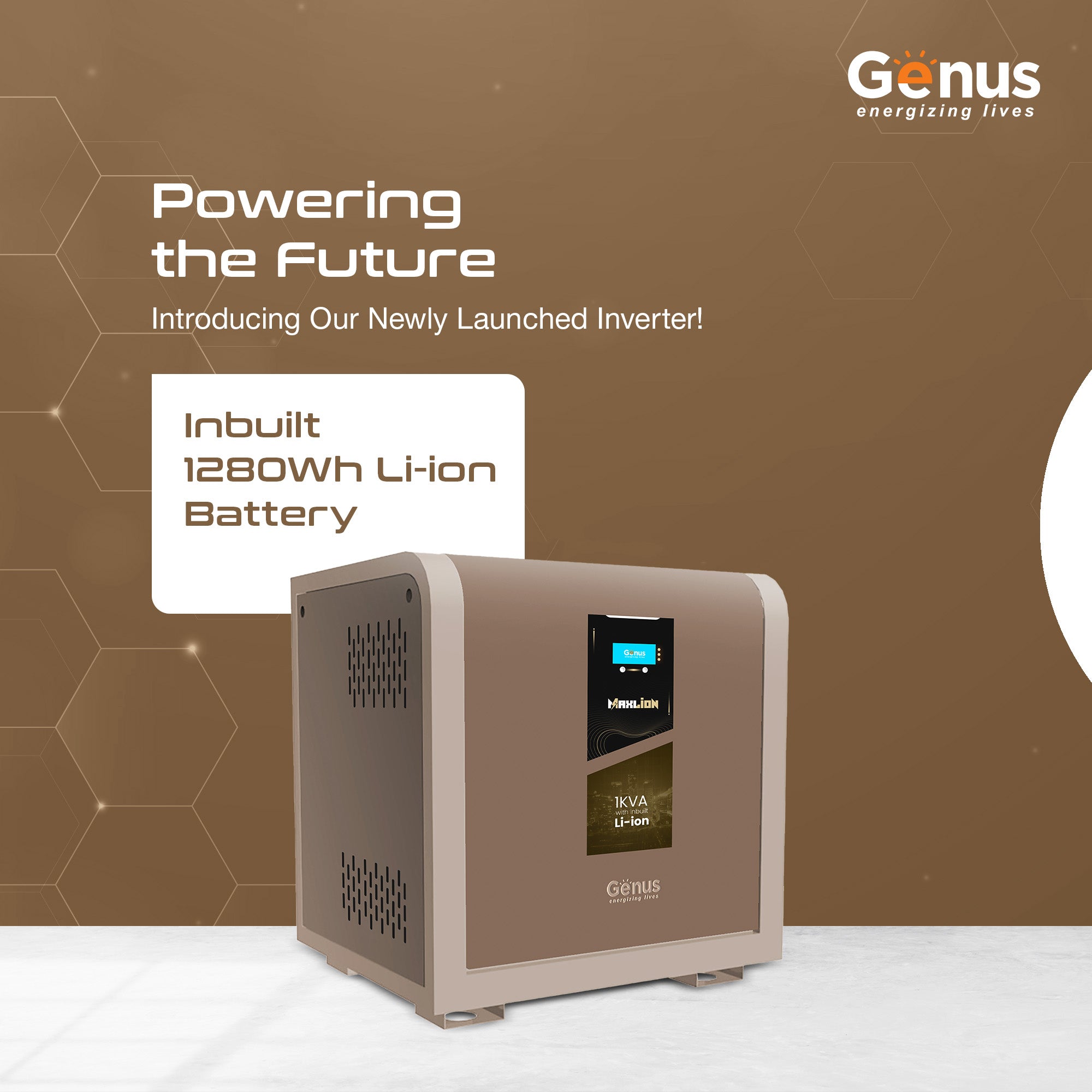 Genus MaxiLion 1000 VA Pure Sine Wave Inverter with Integrated 1280 Wa ...