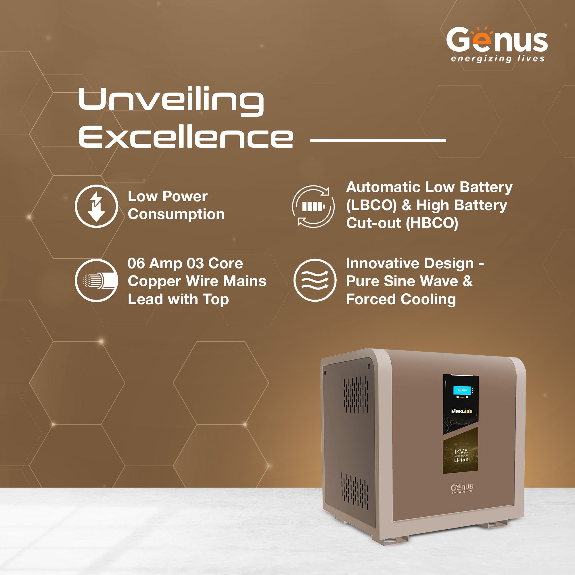 Genus MaxiLion 1000 VA Pure Sine Wave Inverter with Integrated 1280 Wa ...