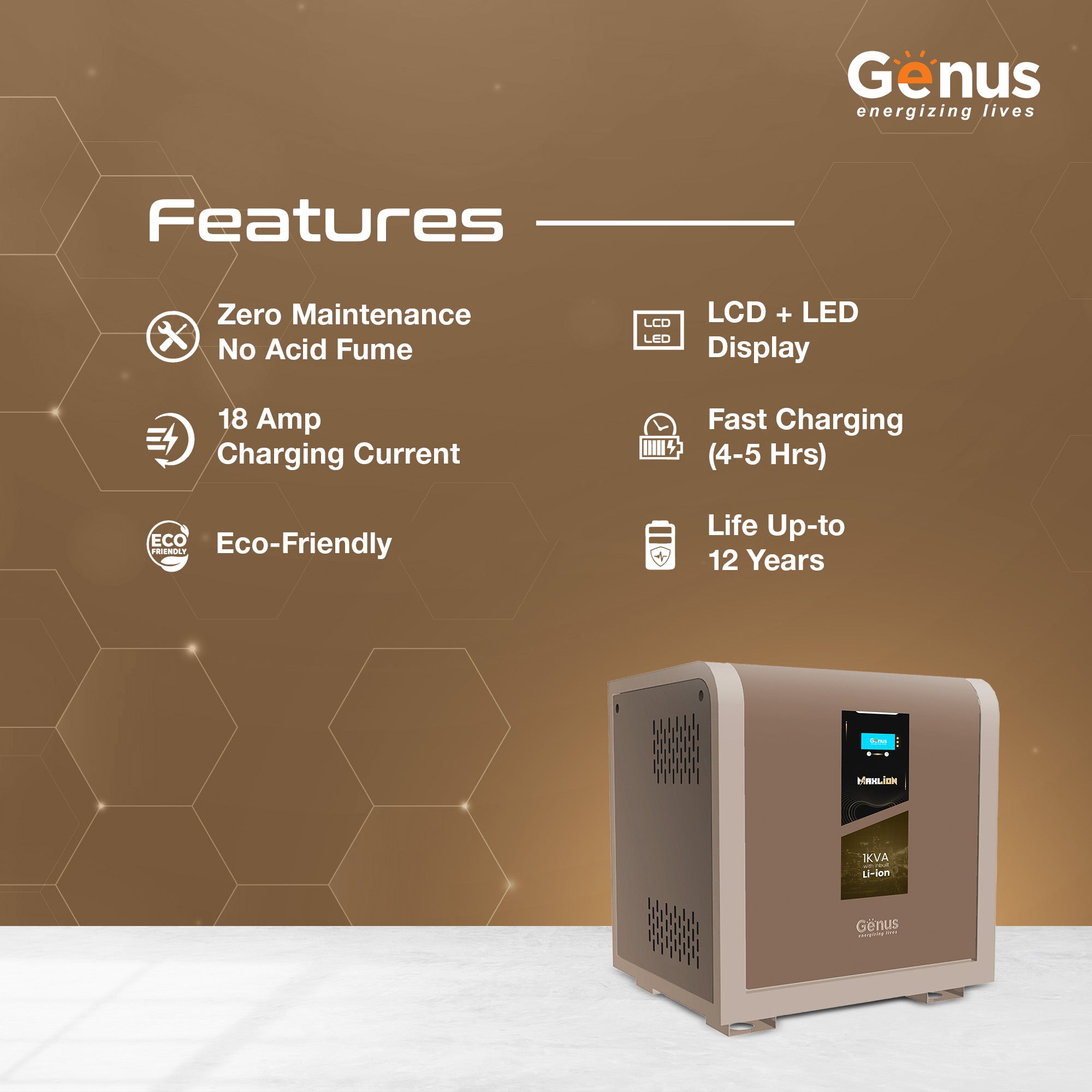 Genus MaxiLion 1000 VA Pure Sine Wave Inverter with Integrated 1280 Wa ...